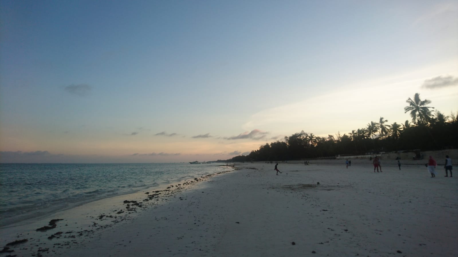 Stories and experiences of an intern – WALE WALE KENYA